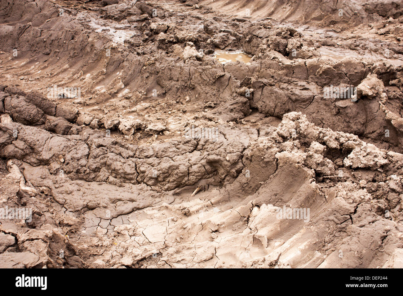 Heavy duty machine tracks in the mud on a construction site Stock Photo ...