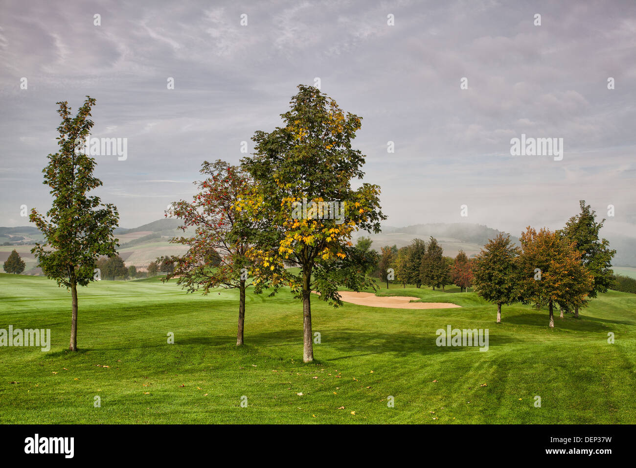 Sports field early morning hi-res stock photography and images - Alamy