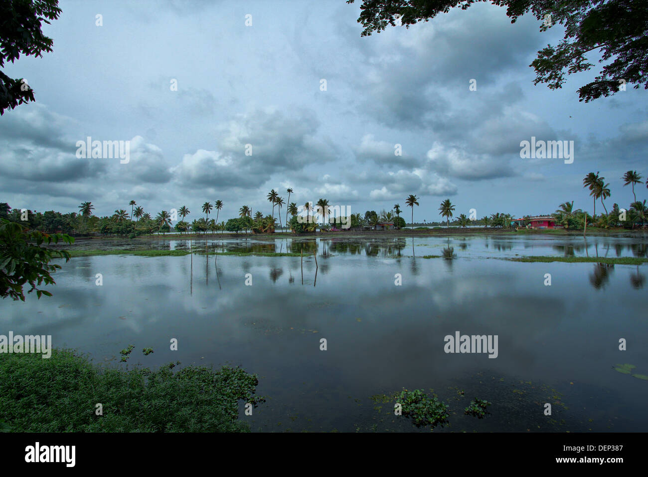 Kerala landscape during monsoon time Stock Photo - Alamy