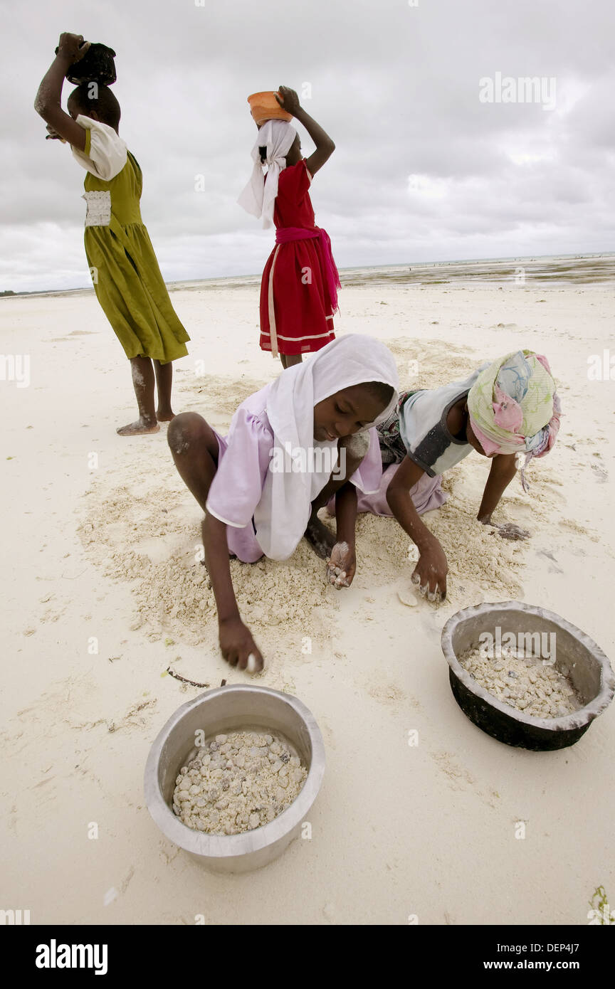 Conch stand hi-res stock photography and images - Alamy