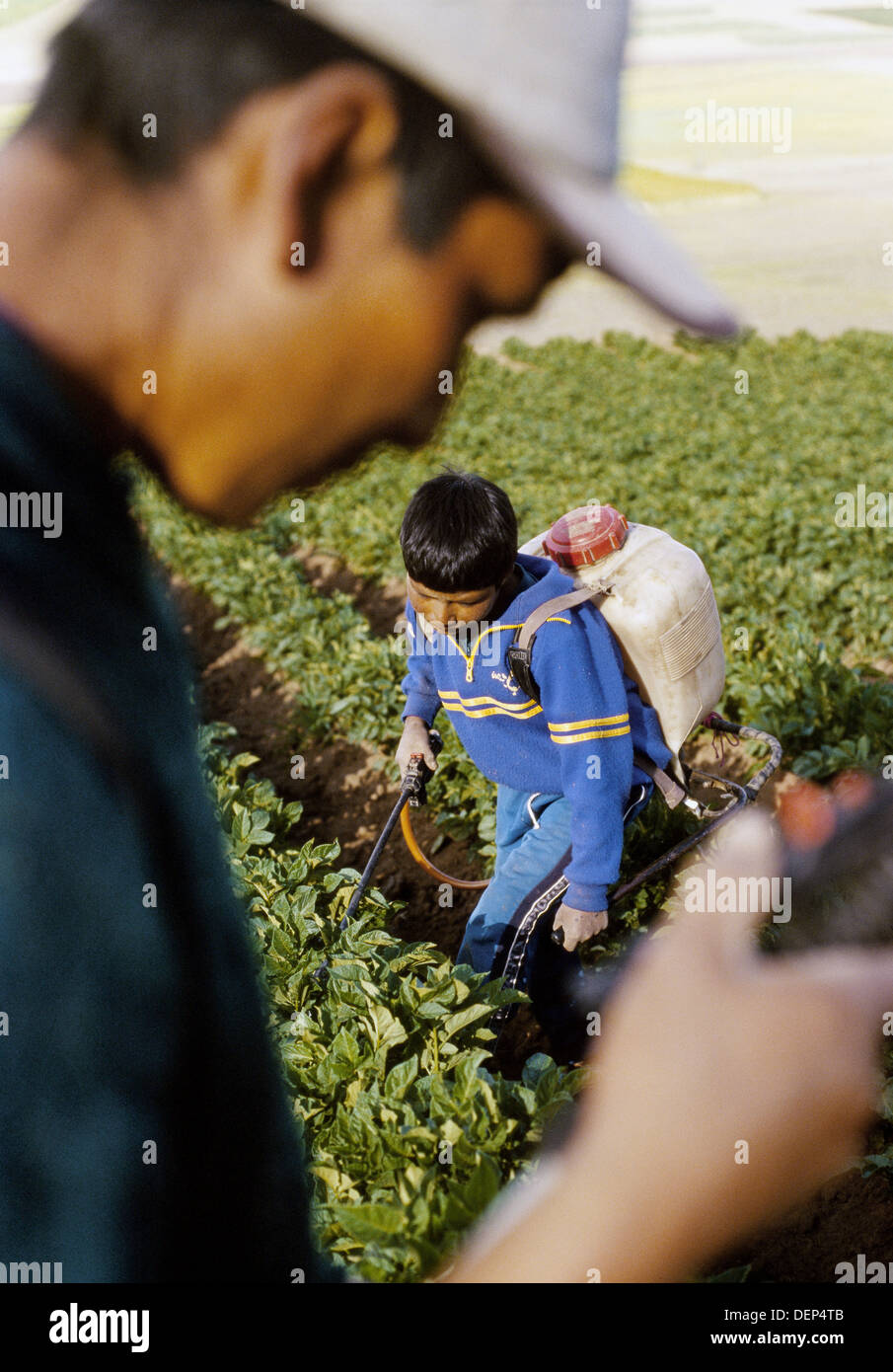 Child labour peru hi-res stock photography and images - Alamy