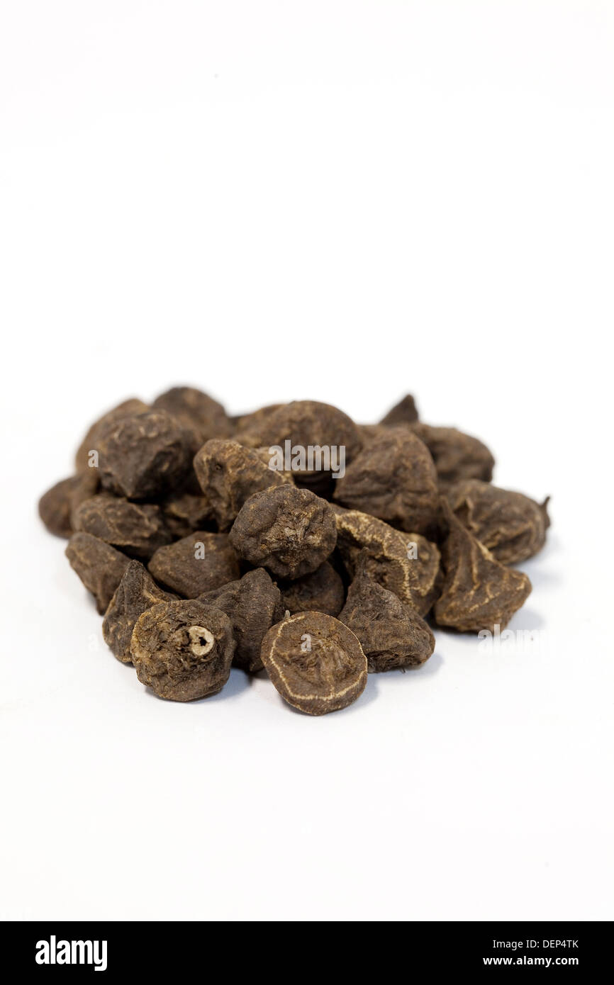 A pile of dried anemone bulbs against a white background Stock Photo ...