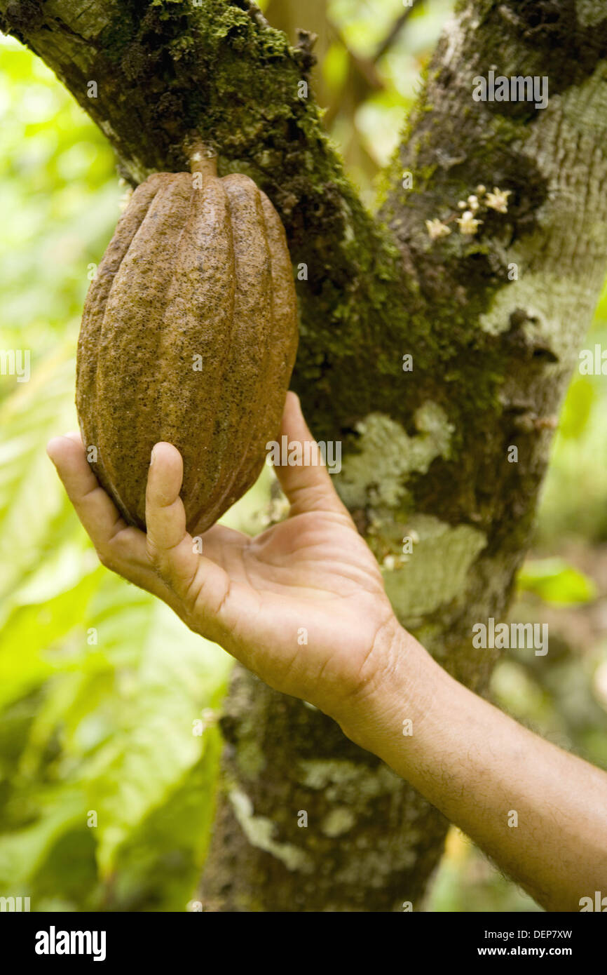 Cuba Baracoa El Yunque Stock Photos & Cuba Baracoa El Yunque Stock ...