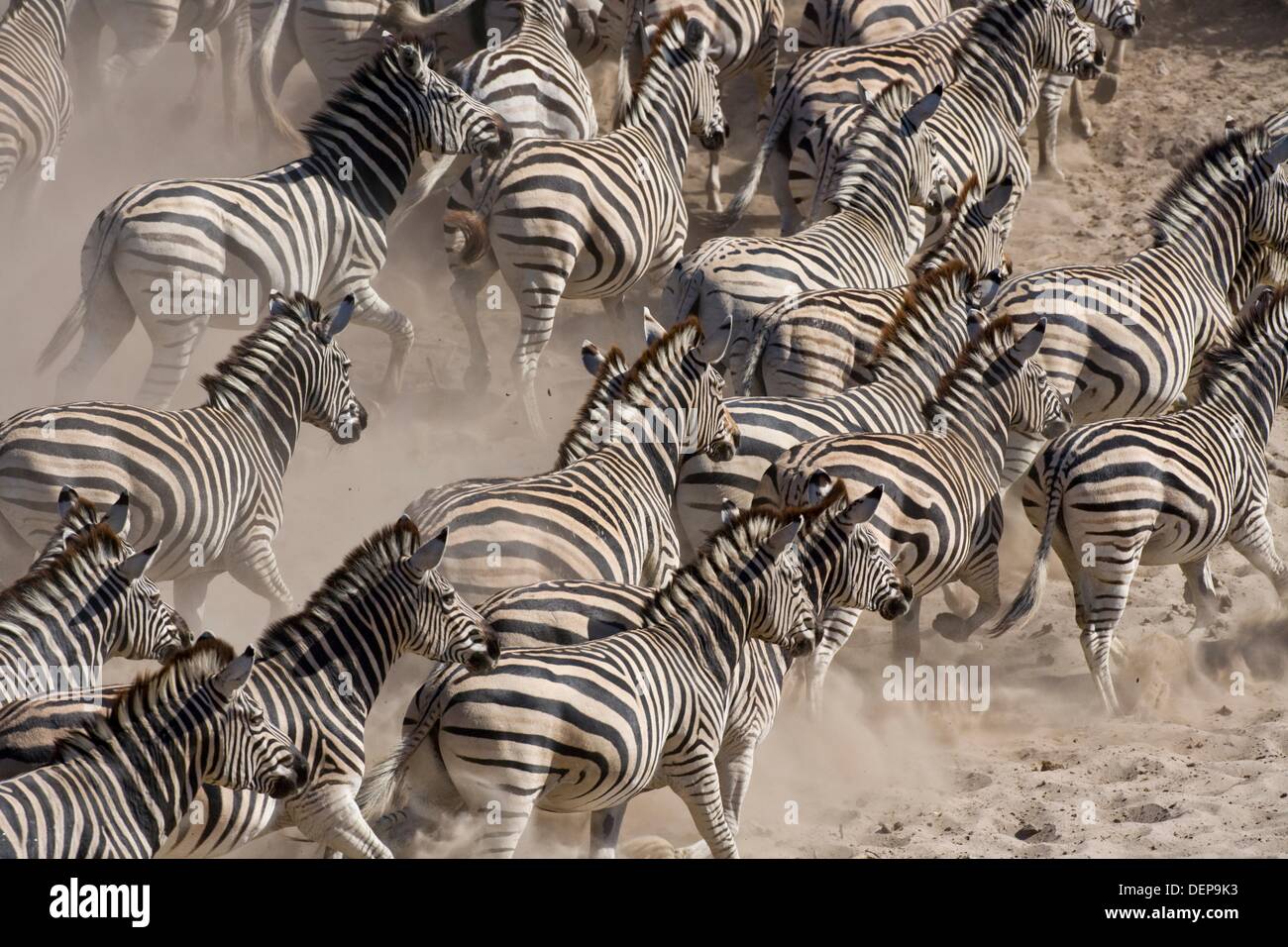 Group run away scared hi-res stock photography and images - Alamy