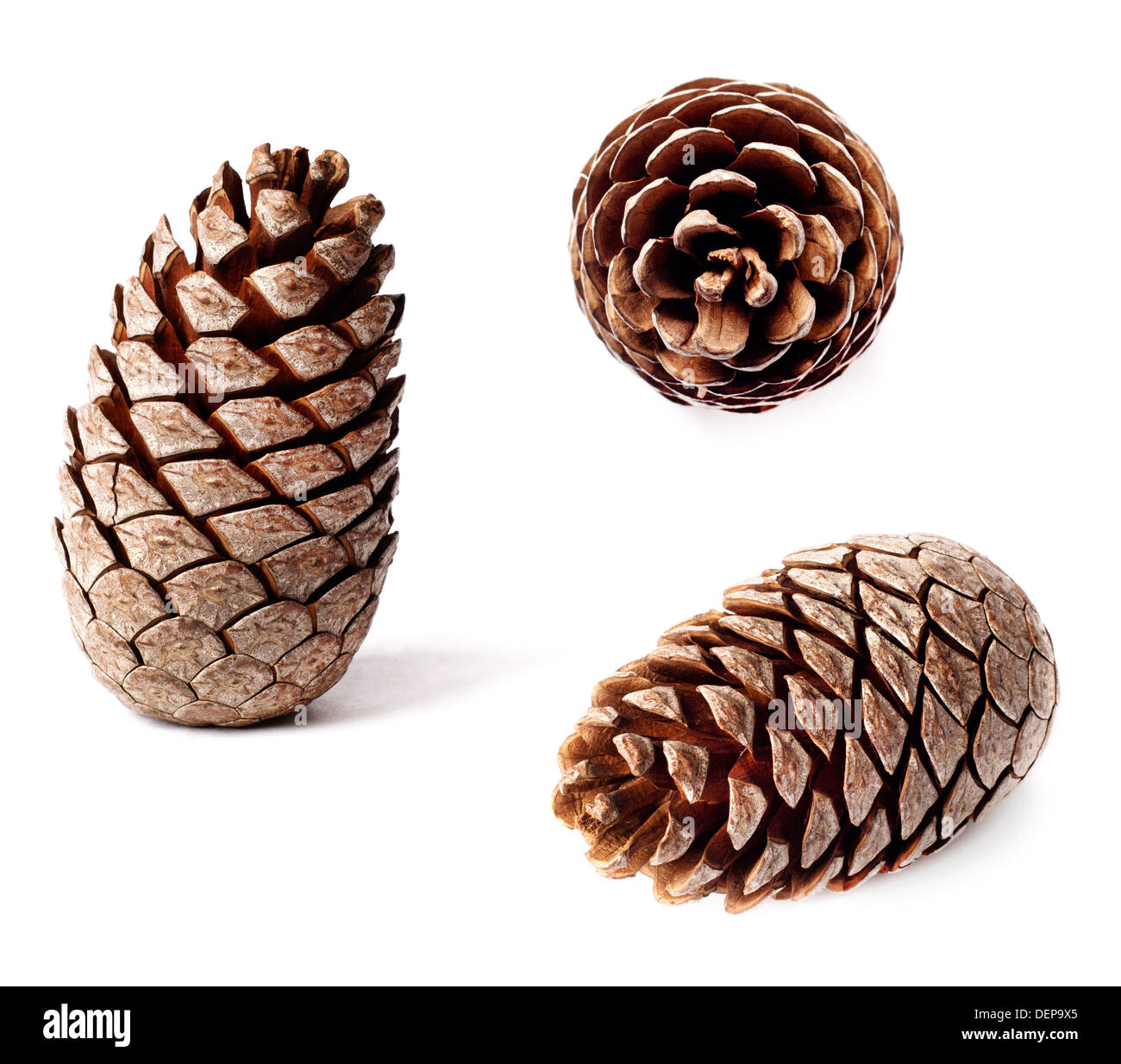 Wood texture cedar Cut Out Stock Images & Pictures - Alamy