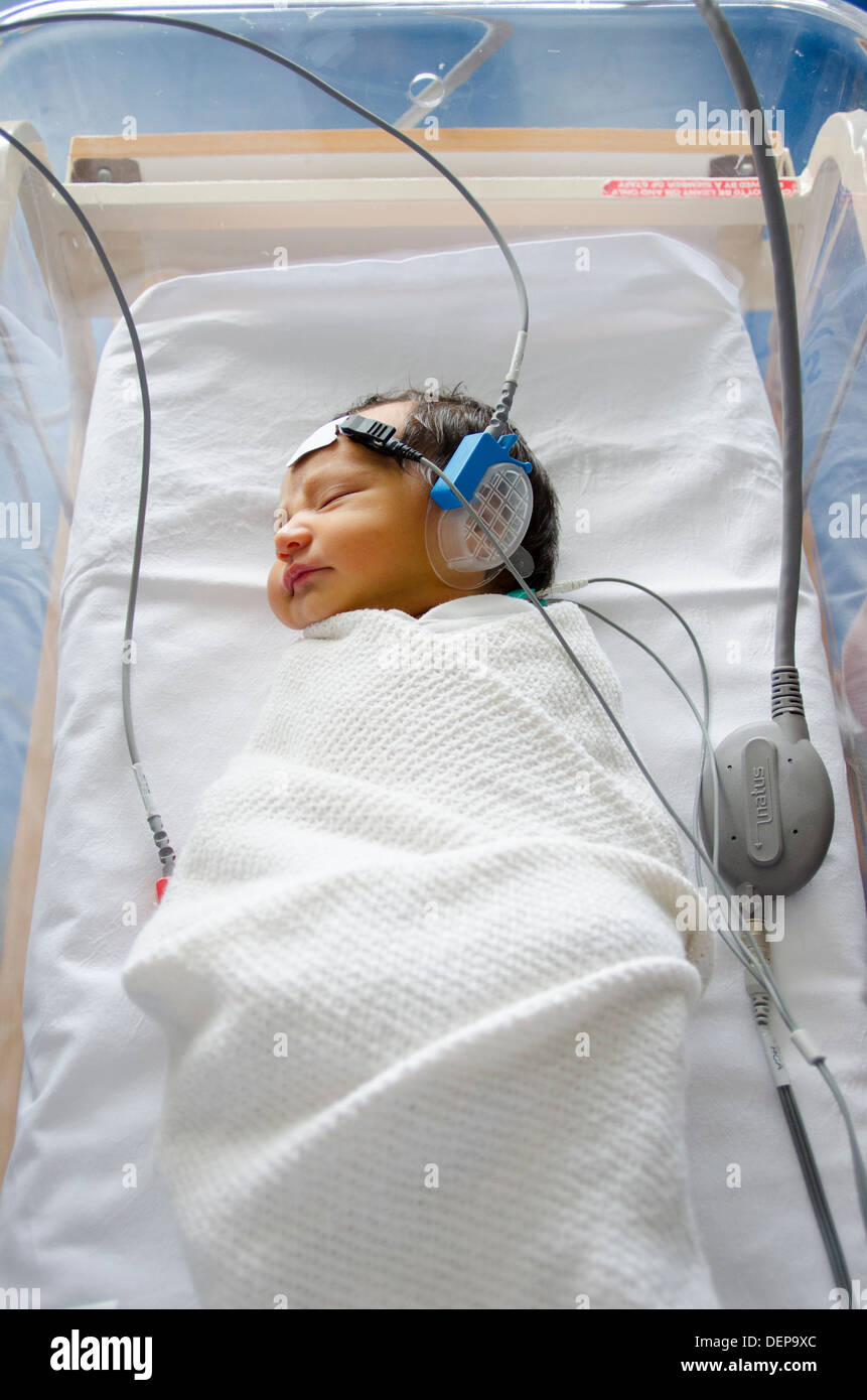 Brainstem hi-res stock photography and images - Alamy
