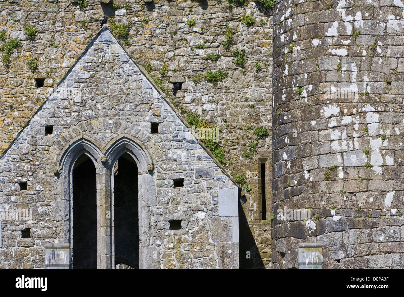 King cormac hi-res stock photography and images - Alamy