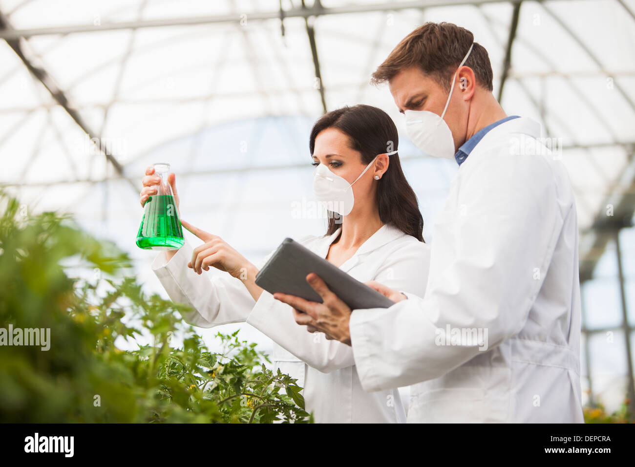 Caucasian scientists working in greenhouse Stock Photo - Alamy