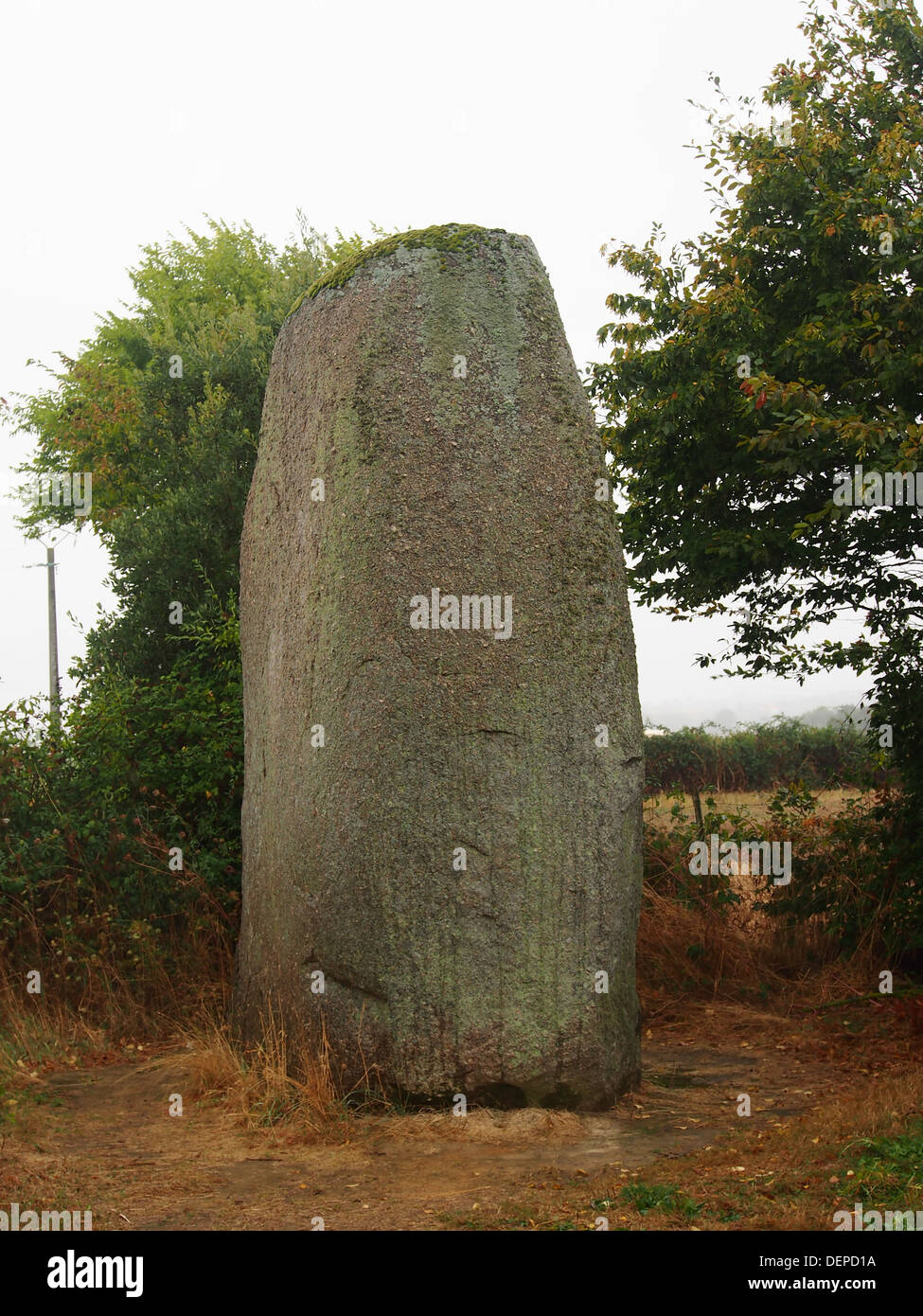 The Menhirs du Plessis are prehistoric standing stones located in ...
