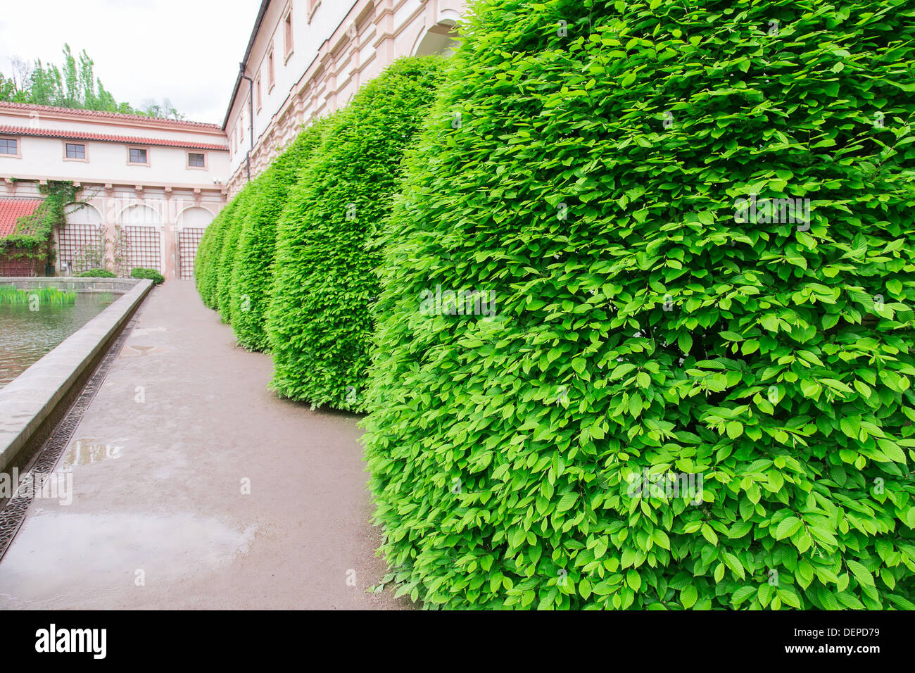 Backyard back yard alley hi-res stock photography and images - Alamy