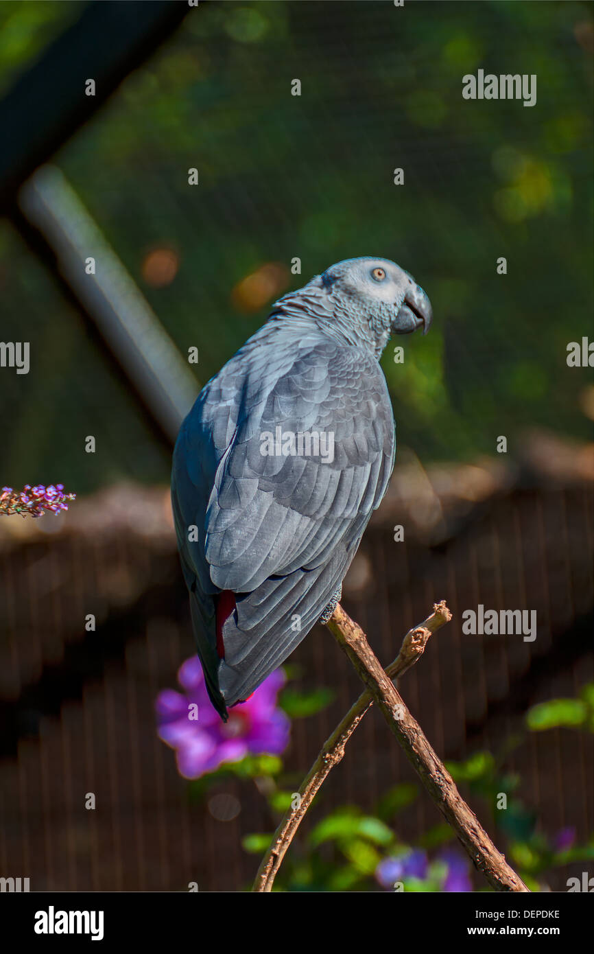 Exotic oasis hi-res stock photography and images - Alamy