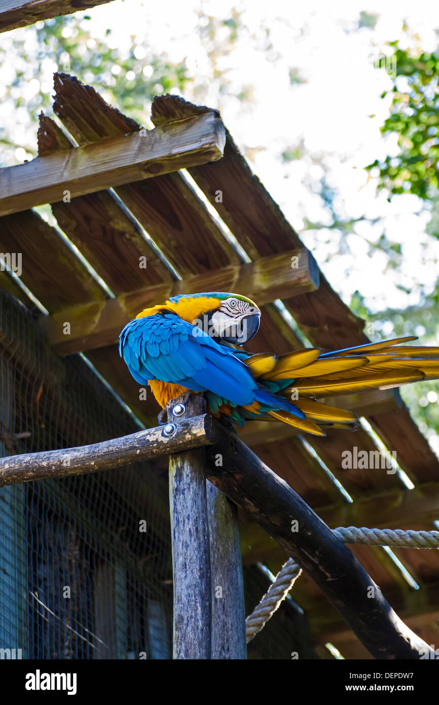 Exotic oasis hi-res stock photography and images - Alamy