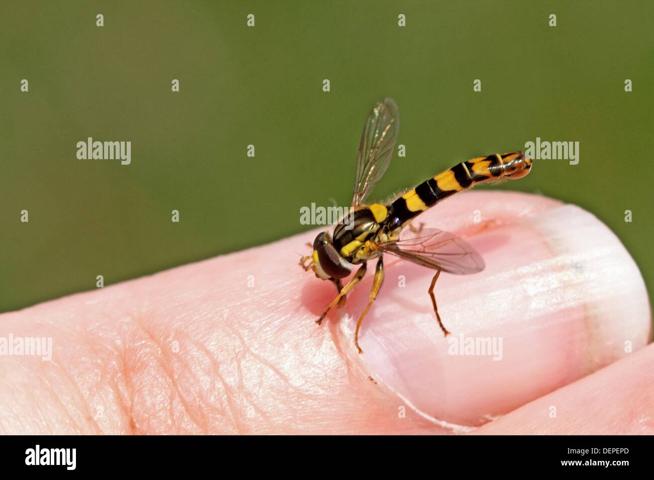 Finger markings hi-res stock photography and images - Alamy