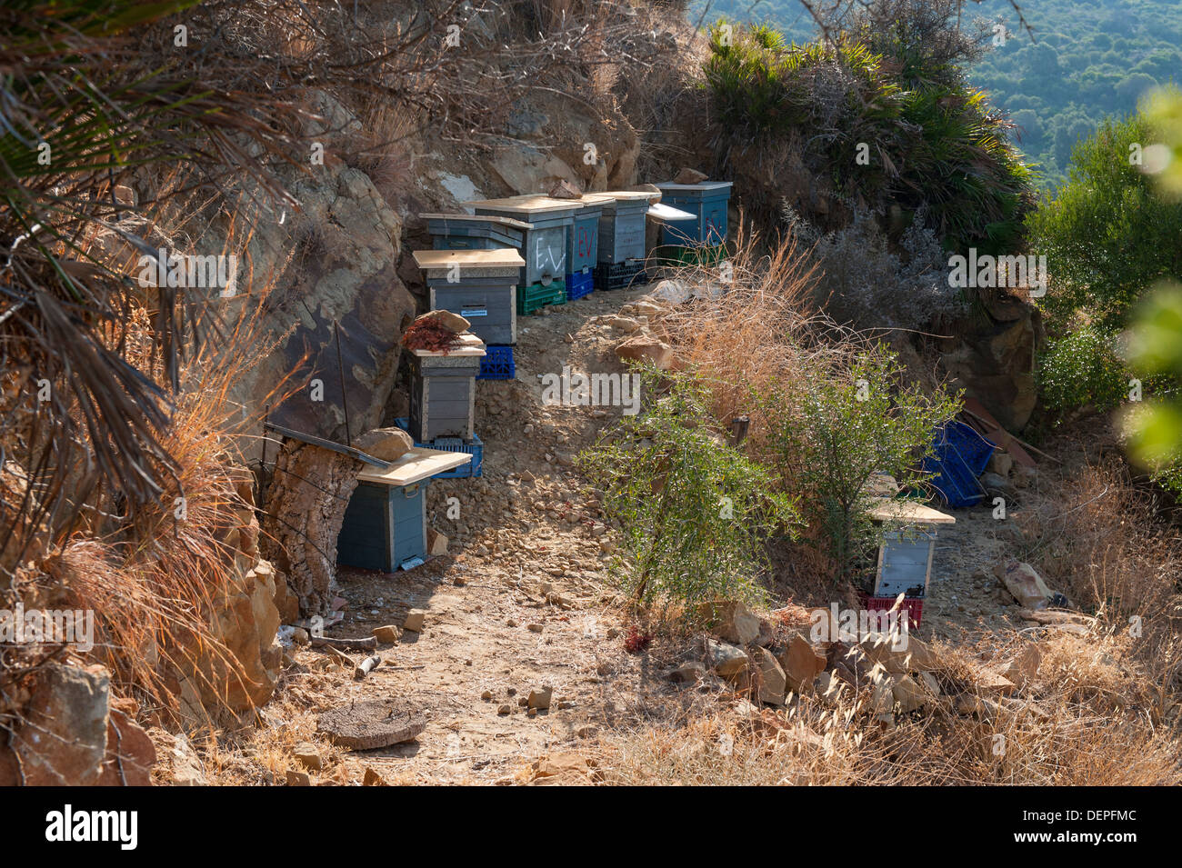 Rural Spain Bee Keeping Stock Photo - Alamy
