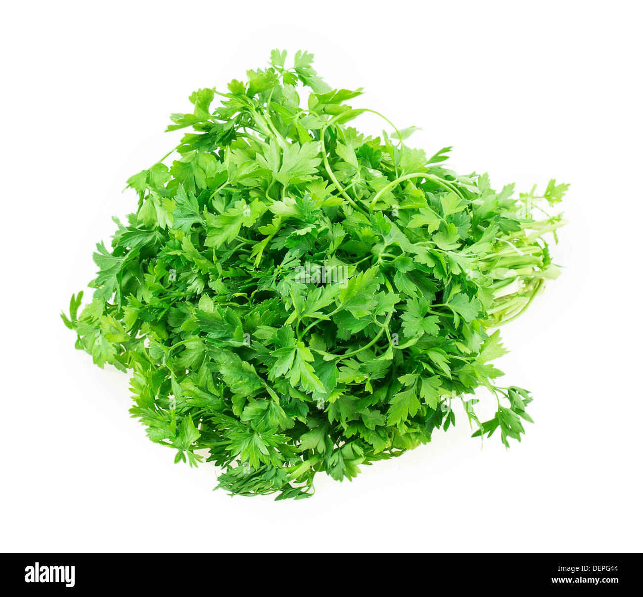Curly parsley Cut Out Stock Images & Pictures - Alamy