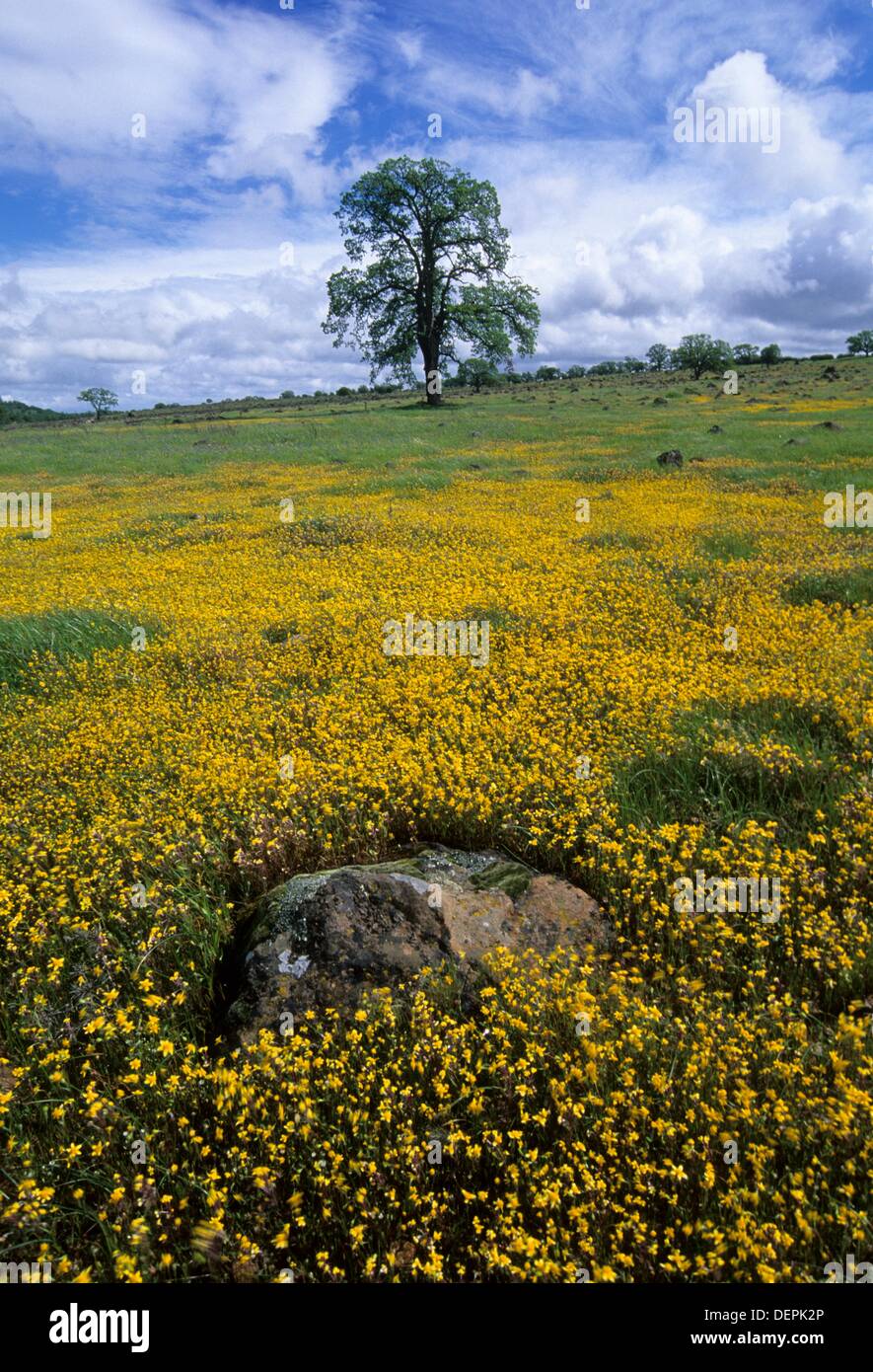Goldfields river hi-res stock photography and images - Alamy