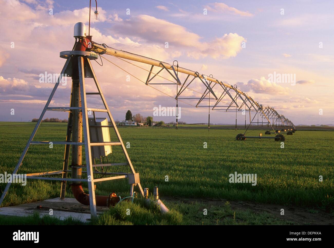 Farm irrigation hi-res stock photography and images - Alamy