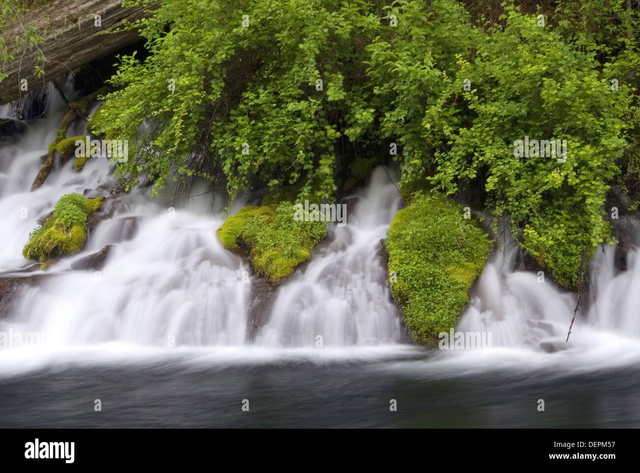 Metolius springs hi-res stock photography and images - Alamy
