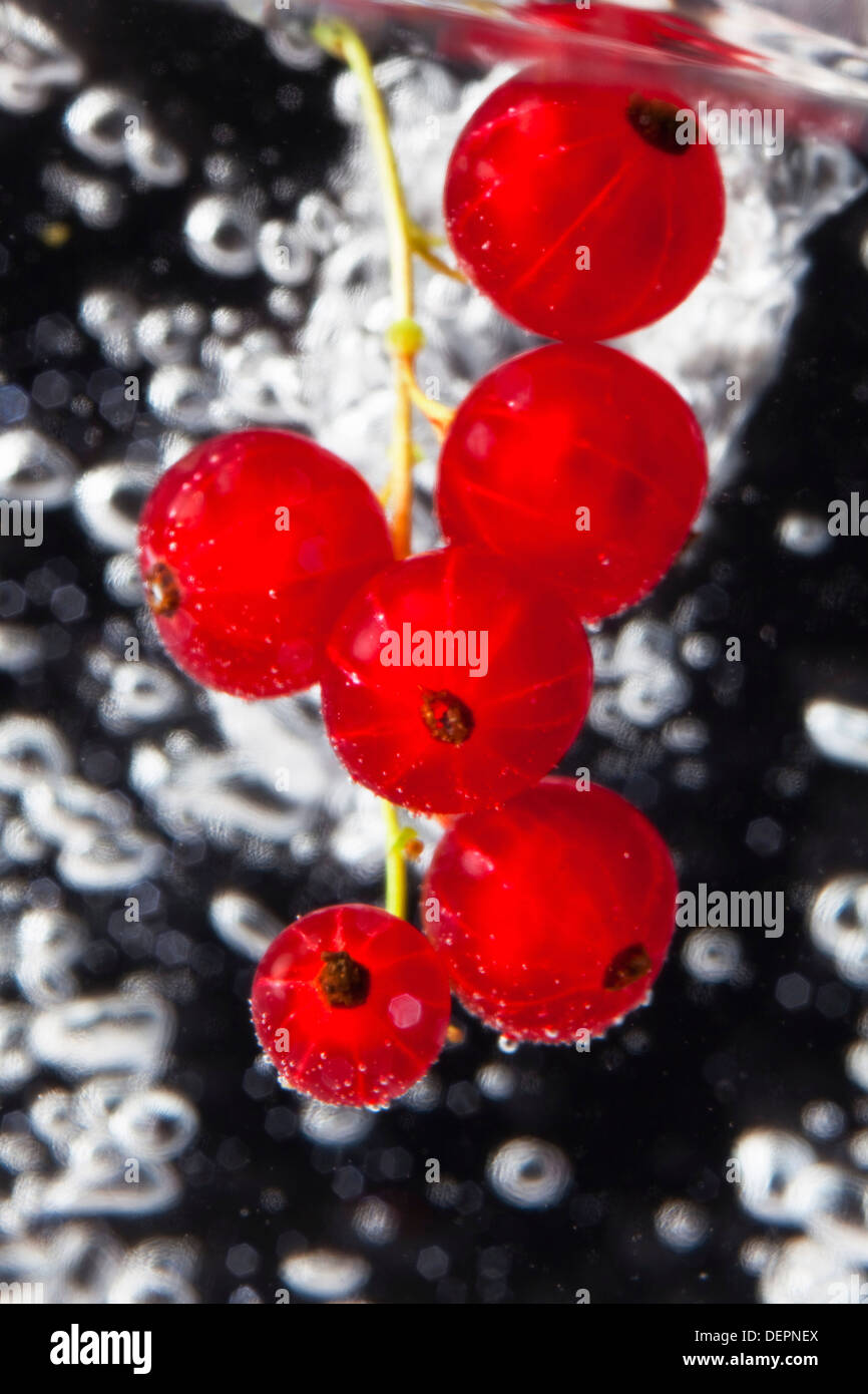 Dripping vine hi-res stock photography and images - Alamy