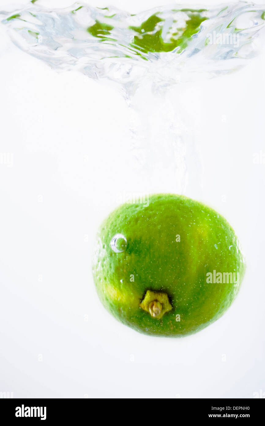 Green lime floating in water, studio Stock Photo - Alamy