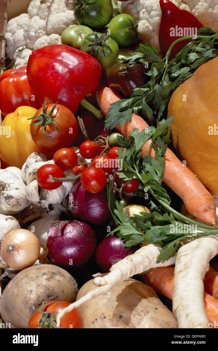 Various assorted organic fresh vegetables from the garden Stock Photo ...