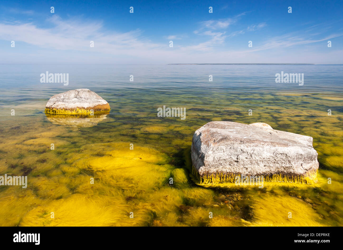 Large rocks in sea which bottom is full of yellow algae Stock Photo - Alamy