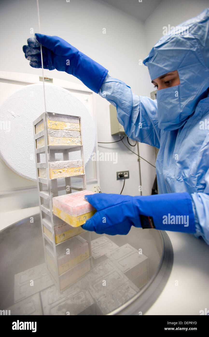 Cryogenics and nitrogen hi-res stock photography and images - Alamy