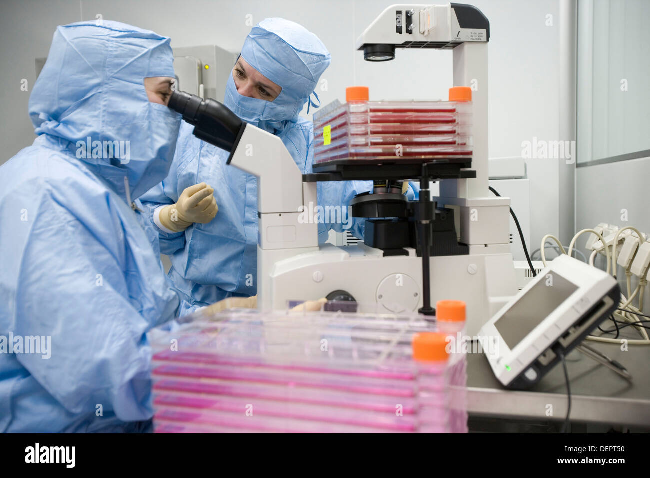 Cell culture work hi-res stock photography and images - Alamy