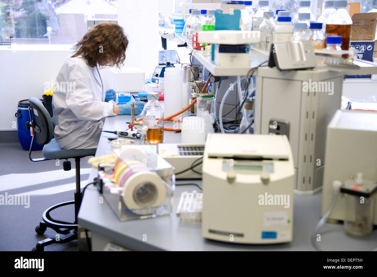 Human Cell Development High Resolution Stock Photography and Images - Alamy