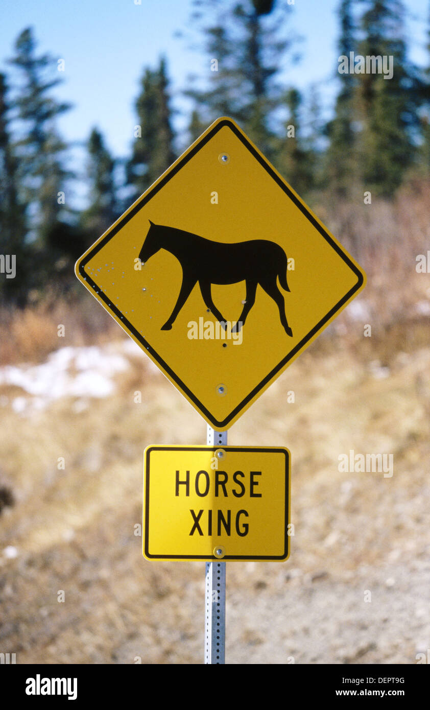 Yellow horse crossing warning sign hi-res stock photography and images ...