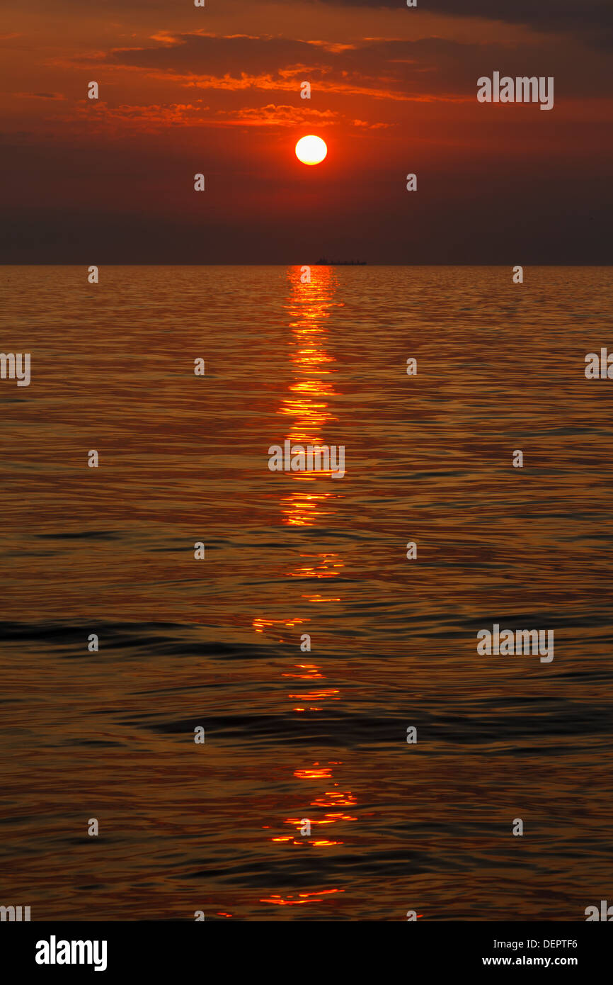 Vertical vibrant shot beautiful hi-res stock photography and images - Alamy