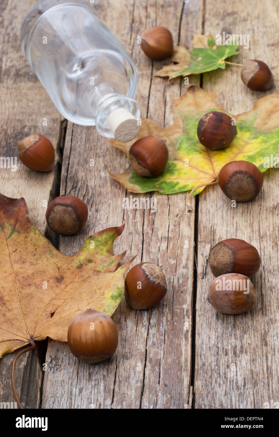 Forest hazelnuts in shell Stock Photo - Alamy