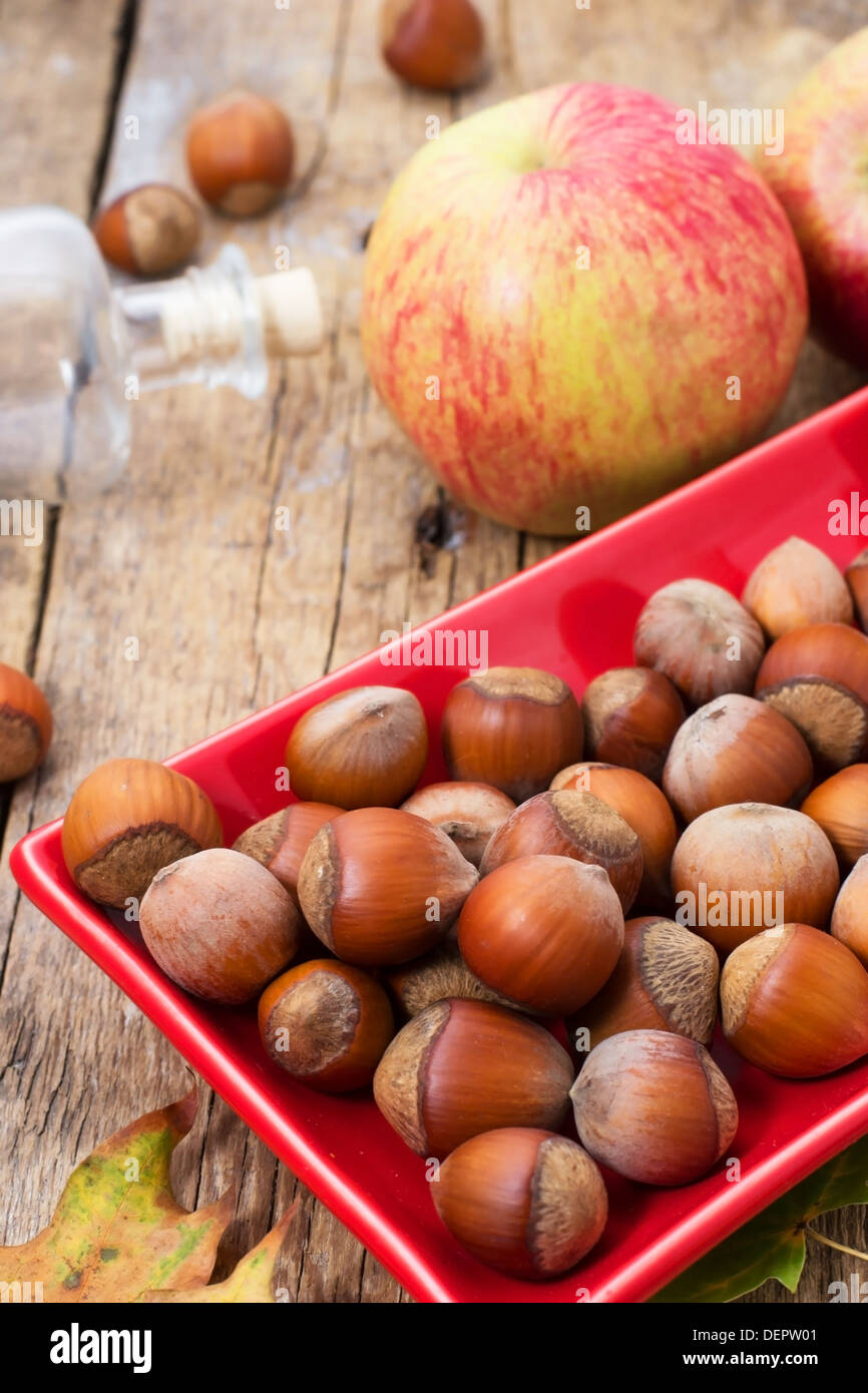Forest hazelnuts in shell Stock Photo - Alamy