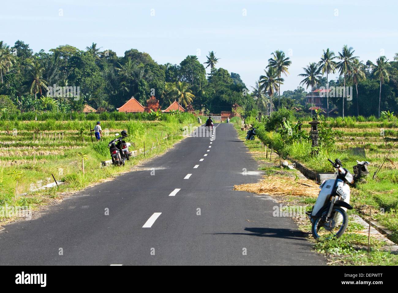 Indonesian country road hi-res stock photography and images - Alamy