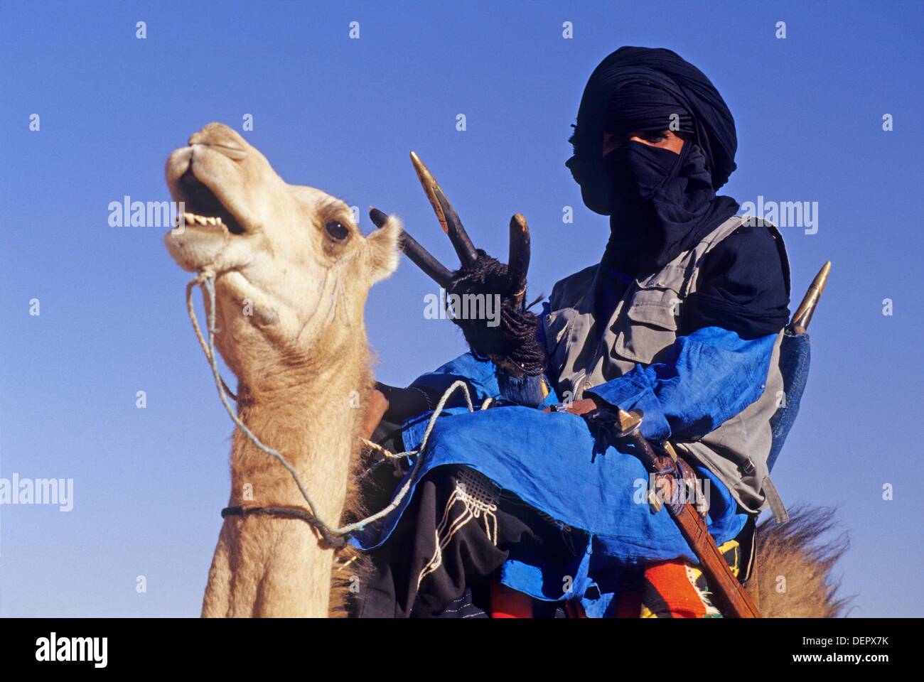 Tuareg mehari hi-res stock photography and images - Alamy