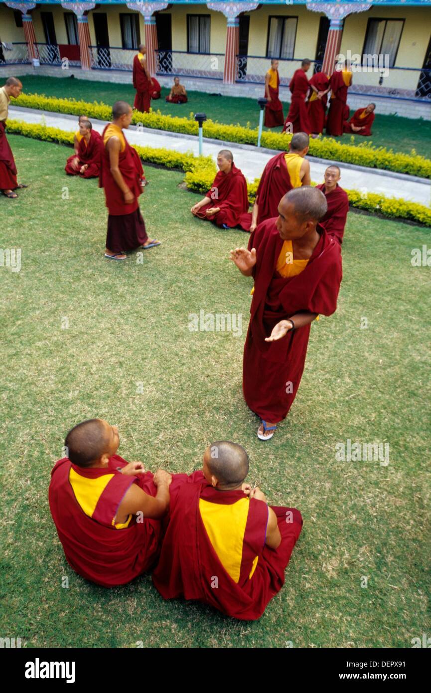 Buddhist Monk Matthieu Ricard High Resolution Stock Photography and ...