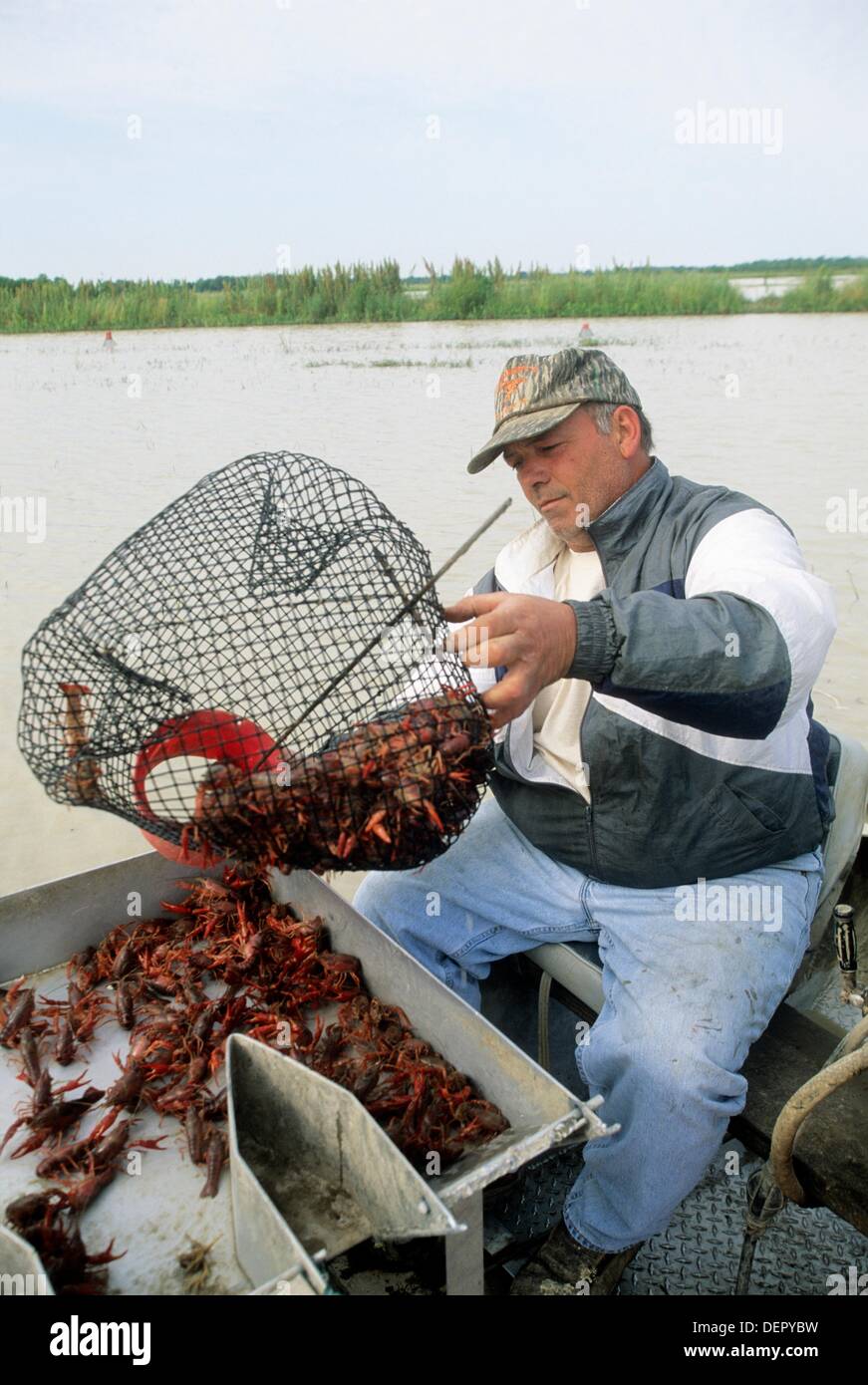 Crawfish Boat High Resolution Stock Photography and Images - Alamy