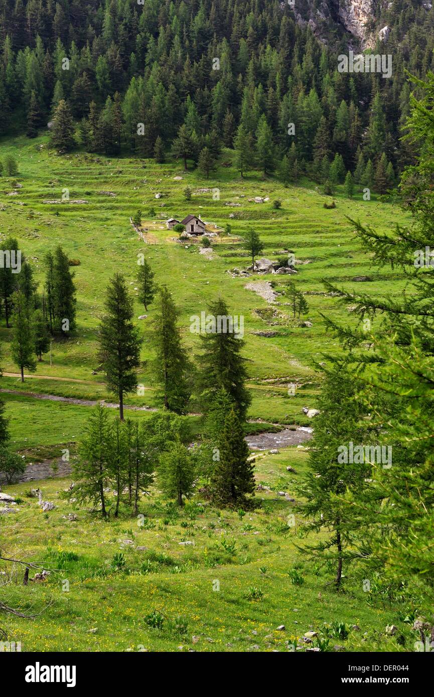 Chalet alpage hi-res stock photography and images - Alamy