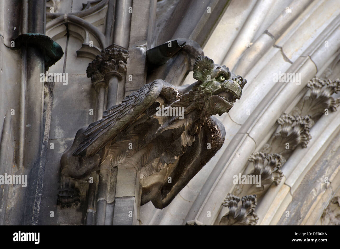 gargoyle water spout on the outside of cologne cathedral germany Stock ...
