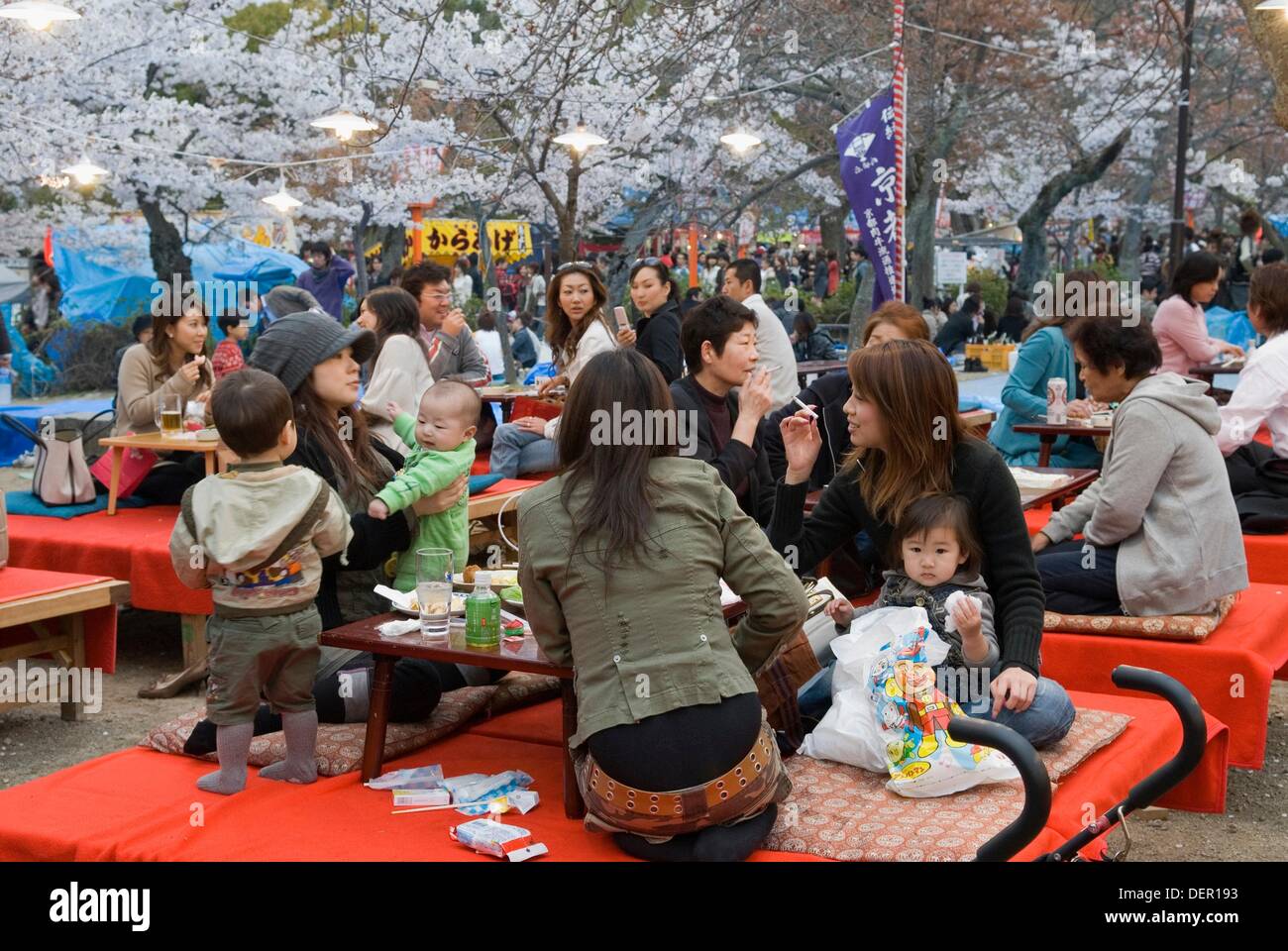Fleurs du temple hi-res stock photography and images - Alamy
