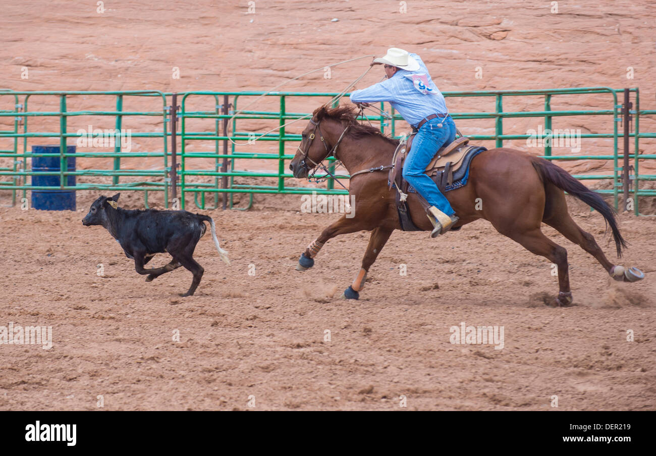 Cowboy riding horse rope gallup hi-res stock photography and images - Alamy