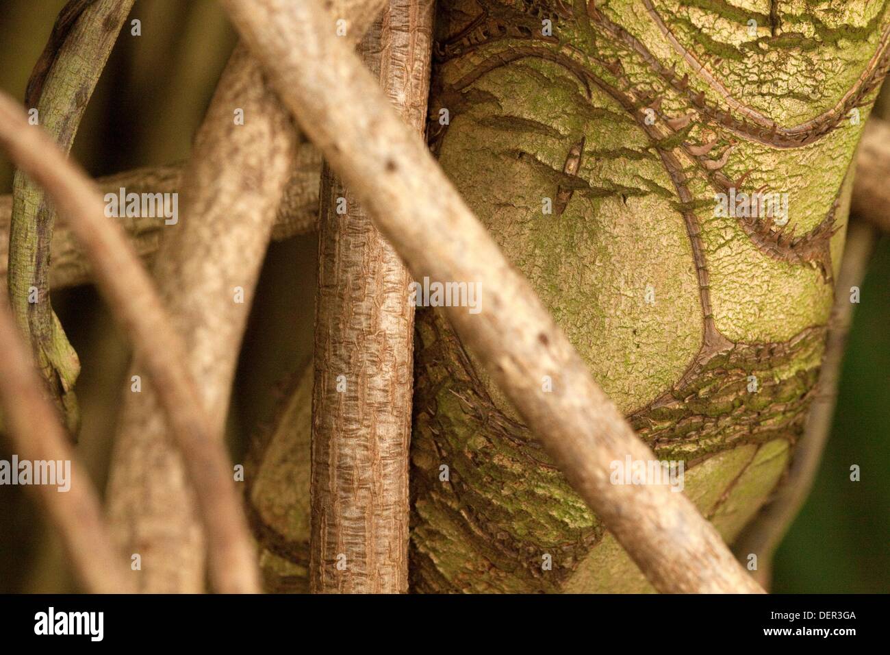 Grouping up hi-res stock photography and images - Alamy