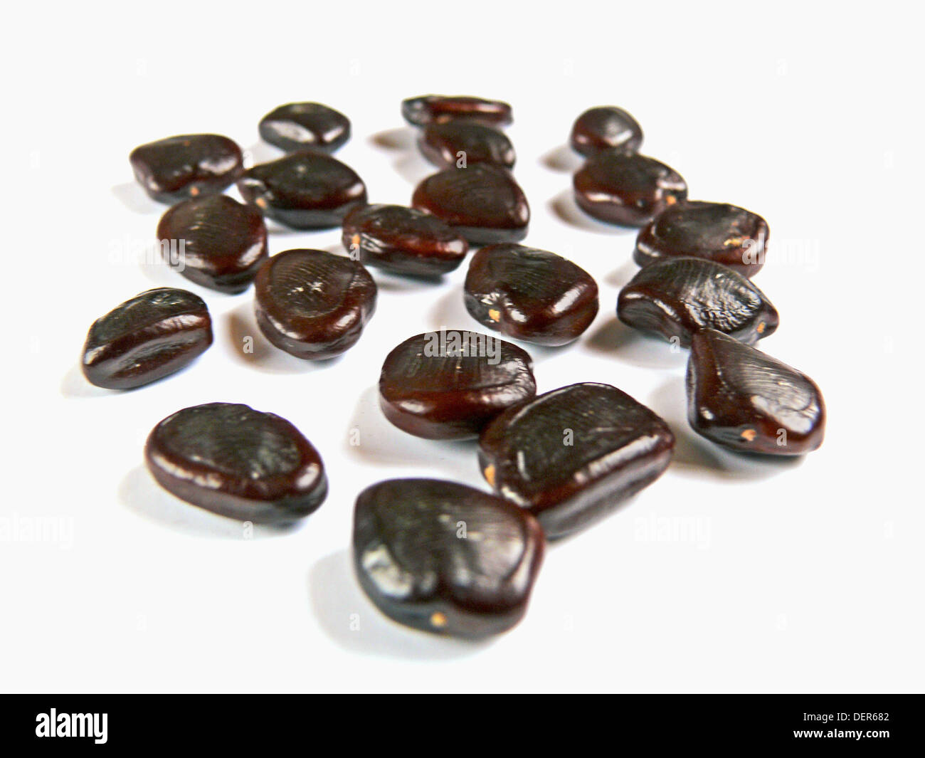 Seed science africa hi-res stock photography and images - Alamy