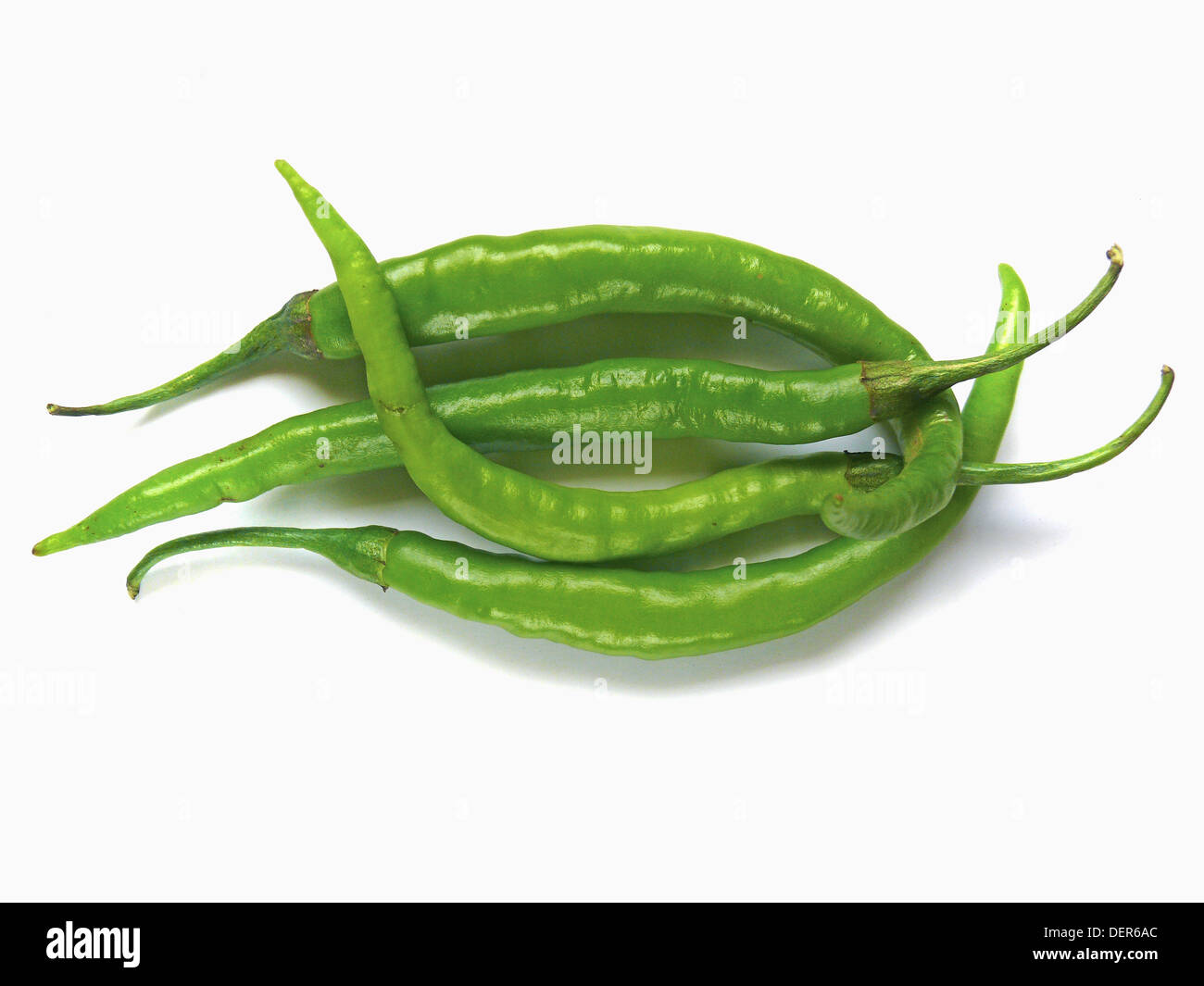 Capsicum annuum, common chili Stock Photo - Alamy
