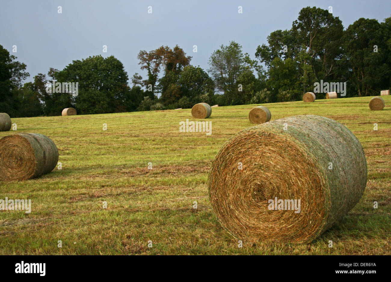 Round baling hay hi-res stock photography and images - Alamy
