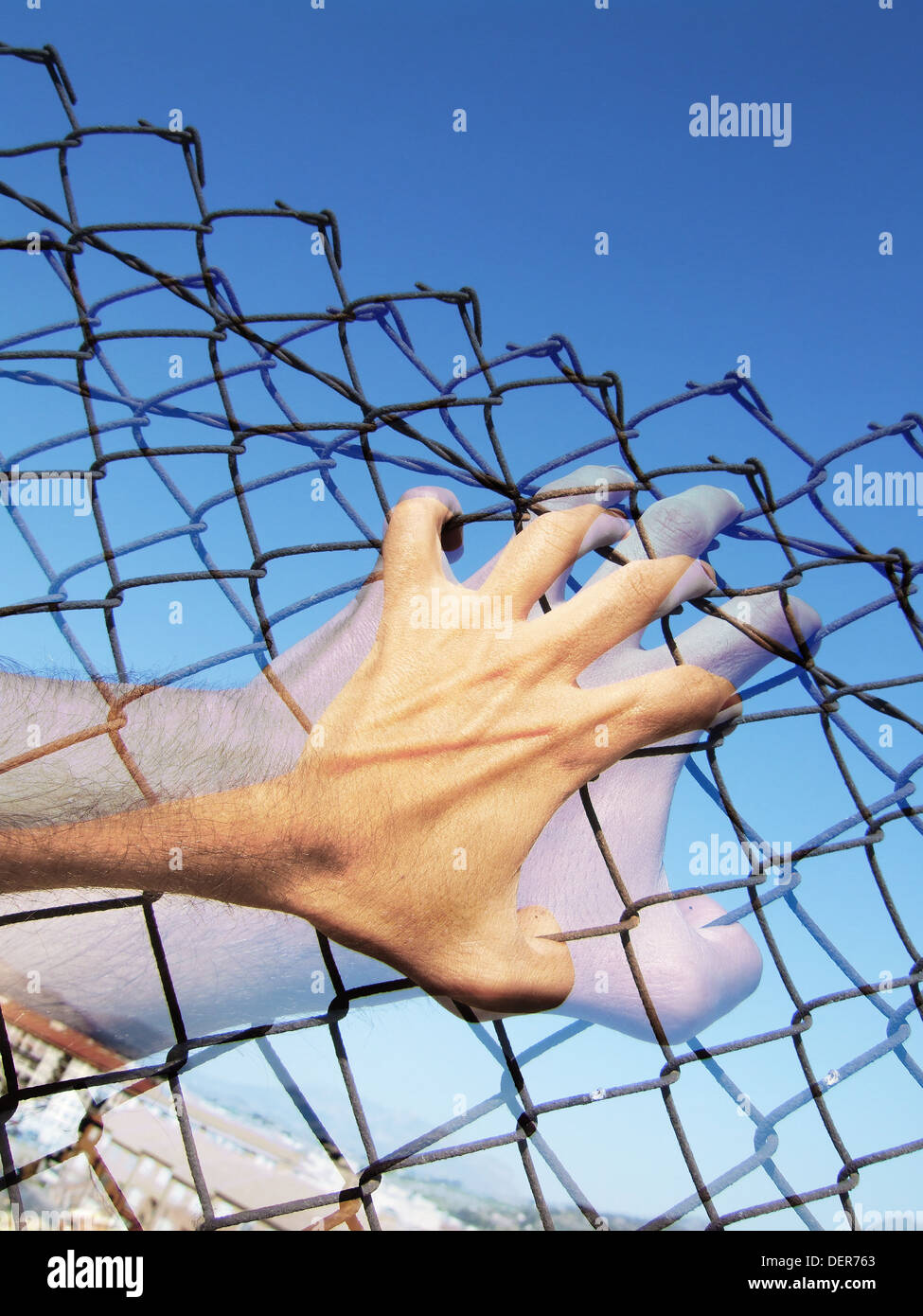 Hand fence chainlink fence hi-res stock photography and images - Alamy
