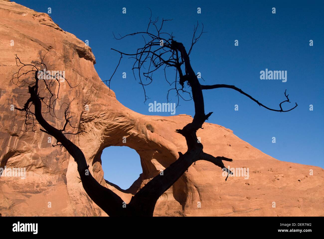 Ear of wind arch hi-res stock photography and images - Alamy