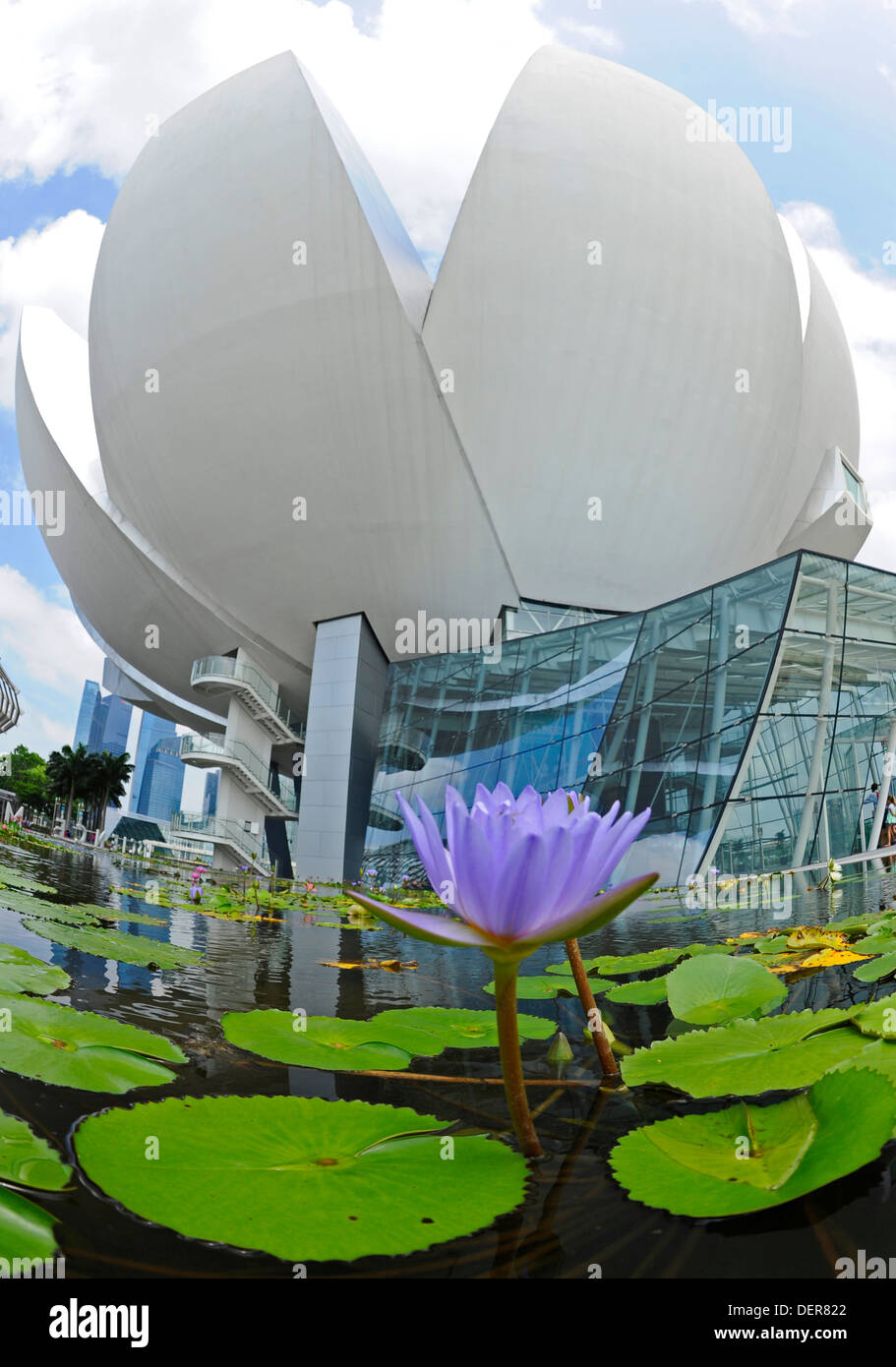 The Art Science Museum at the Marina Bay Sands in Singapore Stock Photo ...