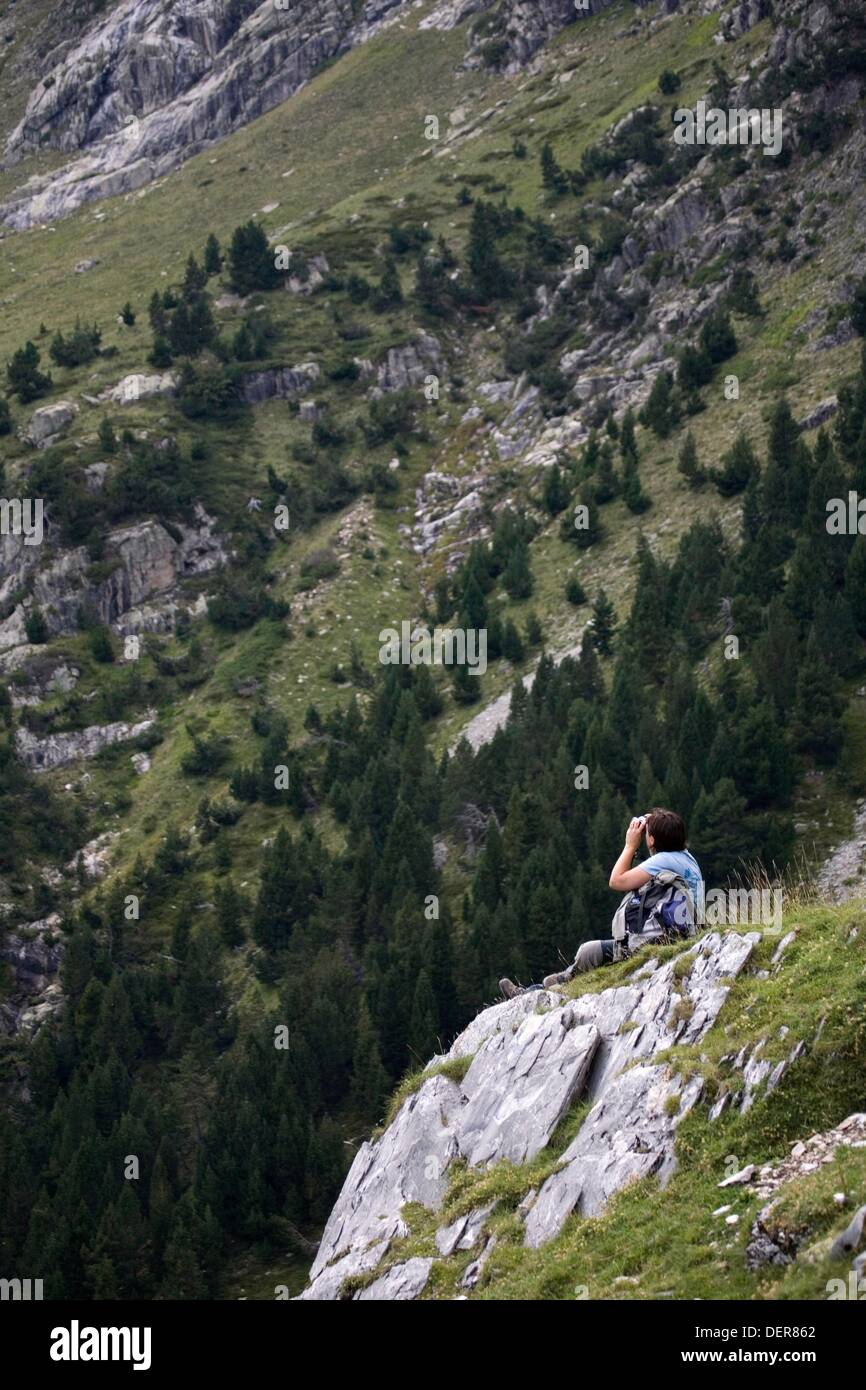 animals watching in pyrenees Stock Photo - Alamy