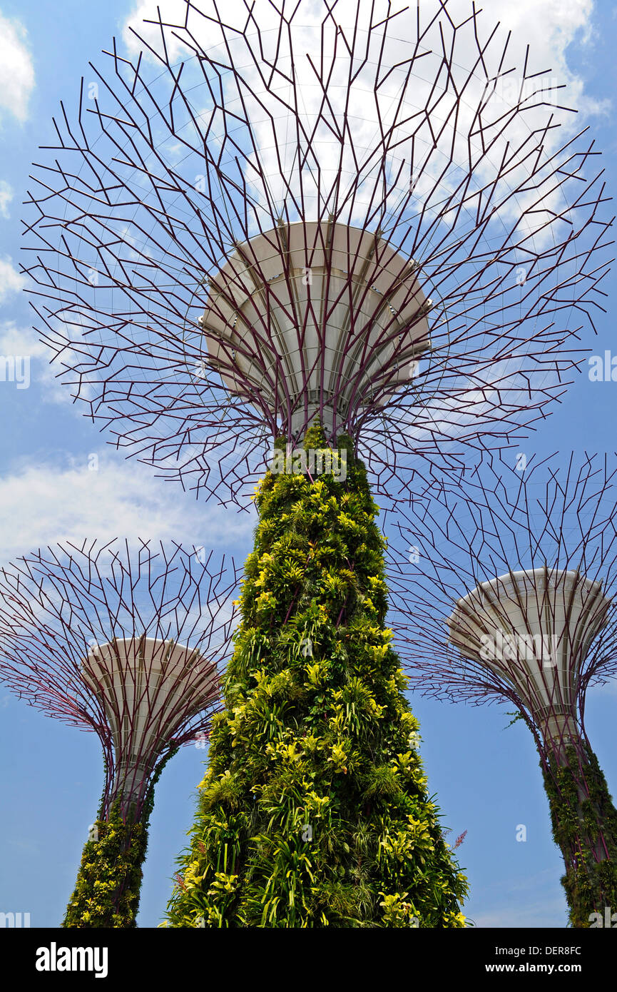 Steel and concrete tree like structures form the Supertree Grove, at ...